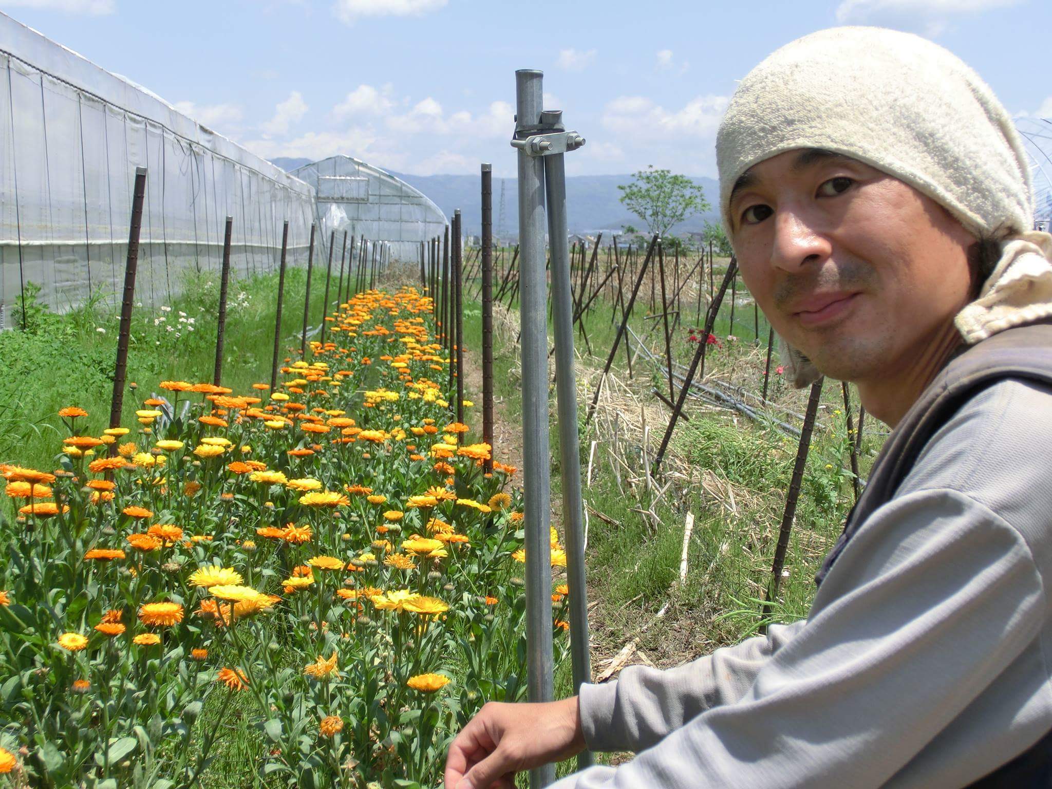 Suki Flower Farm Web – Organic Flowers & Edible Flowers